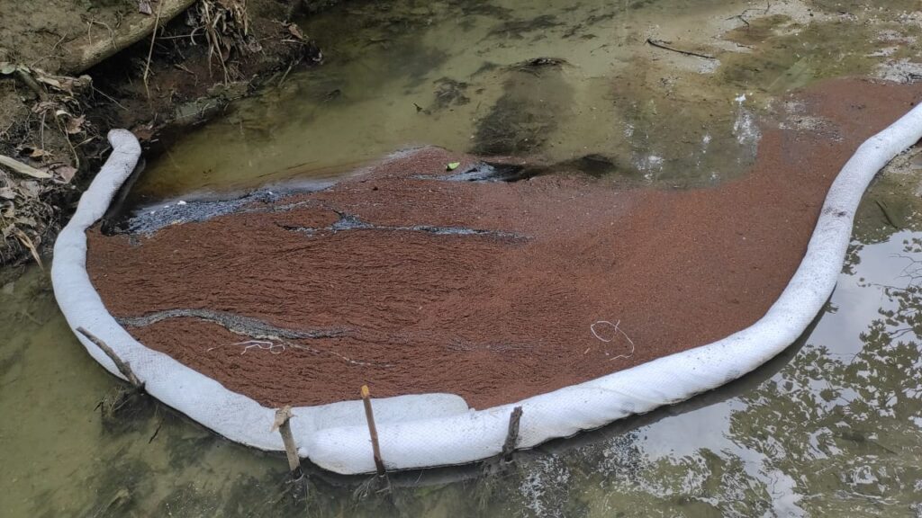 Clean Sorb - Paquete 1Kg - Codecam