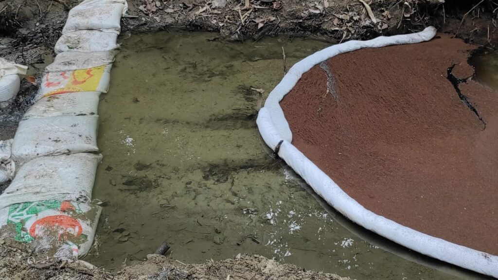 Clean Sorb - Paquete 1Kg - Codecam