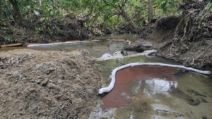 Clean Sorb Bloque compacto 32Kg - Codecam